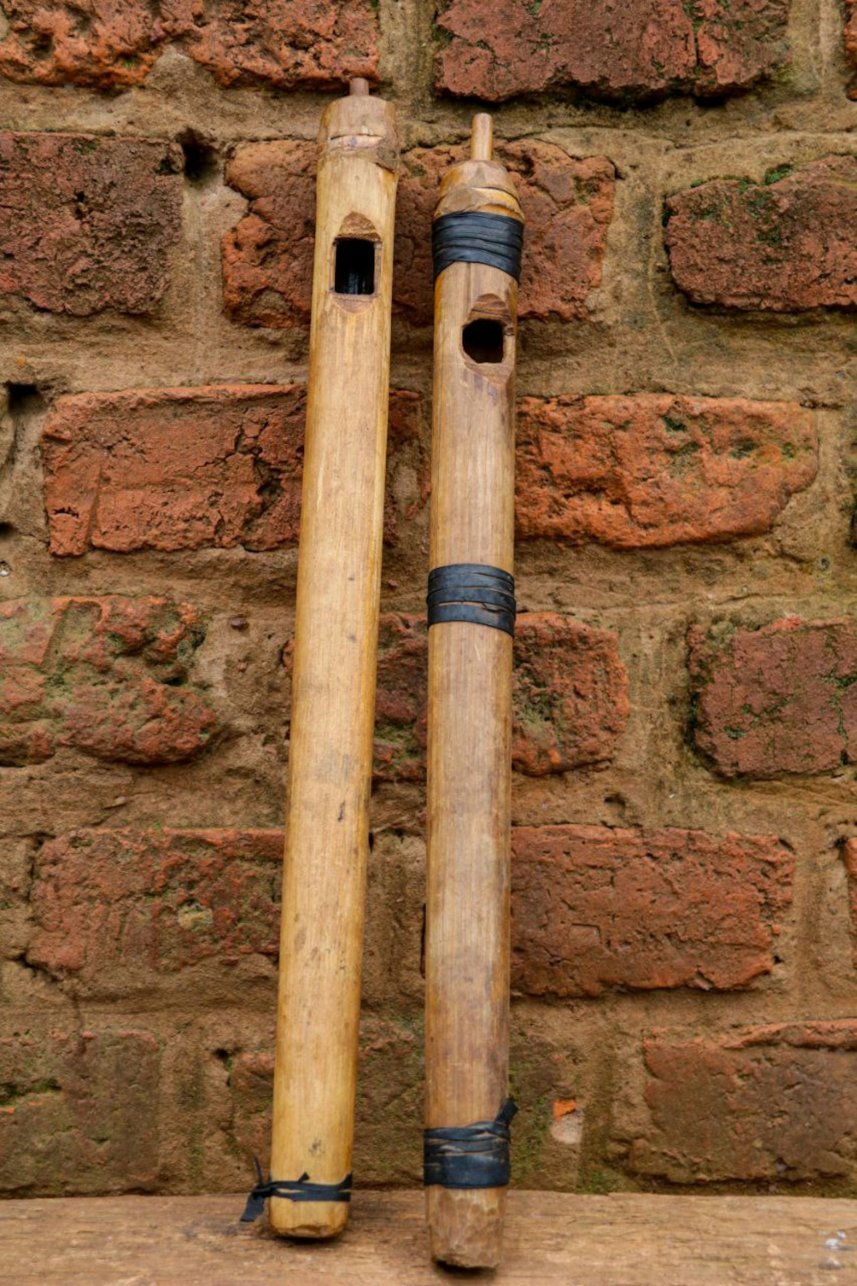The Witness — Bamboo Horns