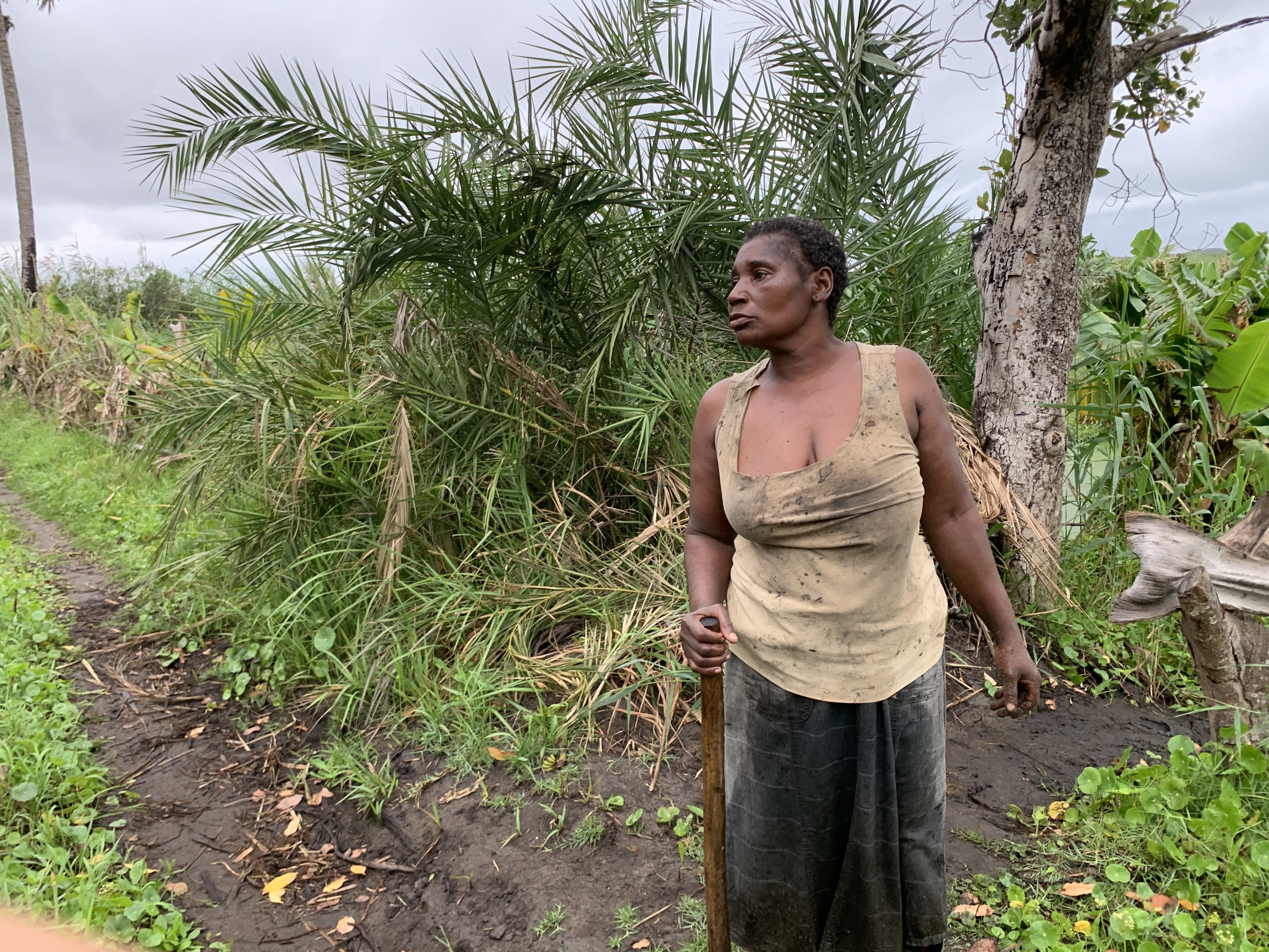 The Witness — Constância Armindo Nzango