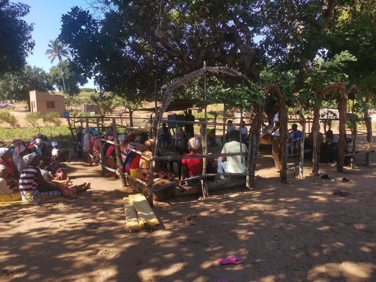 The Witness — Zion Music