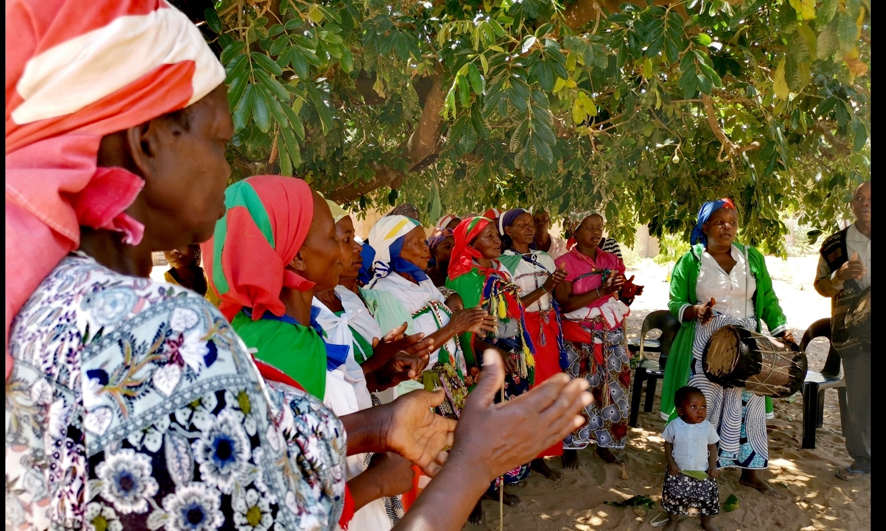 The Witness — Zionis Songs and Prayers